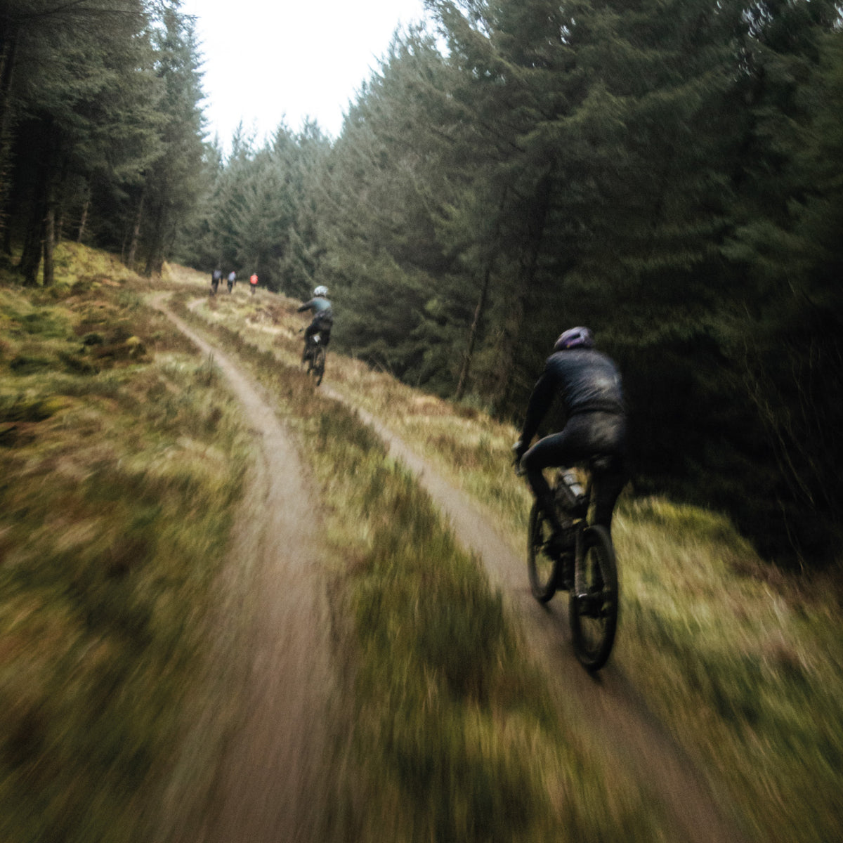 Leeze Laufräder - 10 years of development & wheel building in Münsterland.