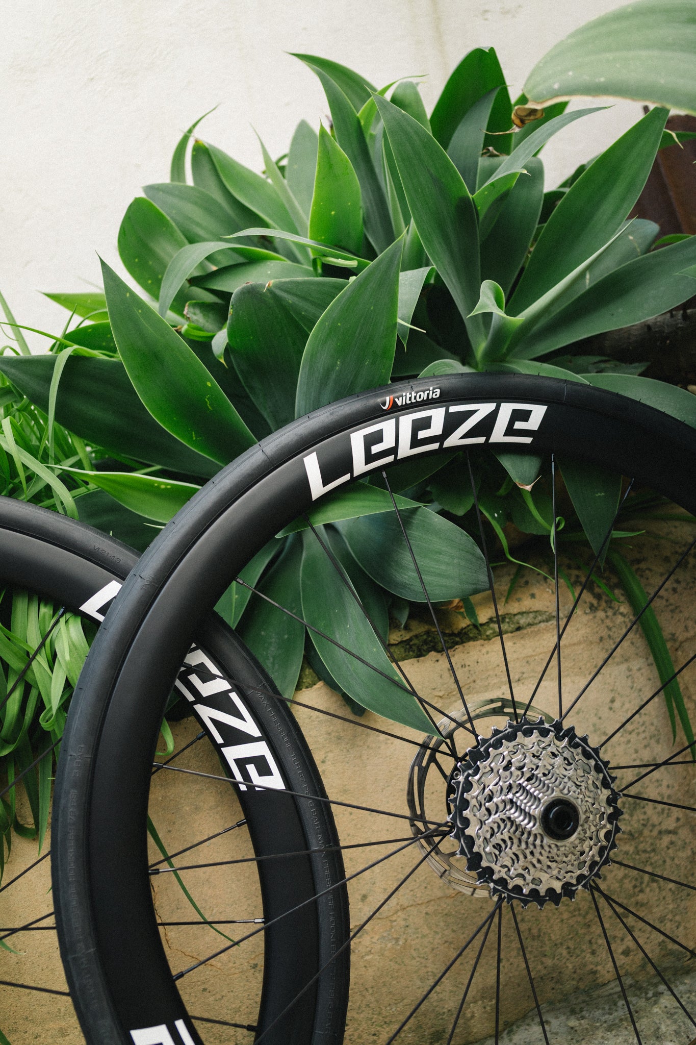 Leeze Laufräder - 10 years of development & wheel building in Münsterland.